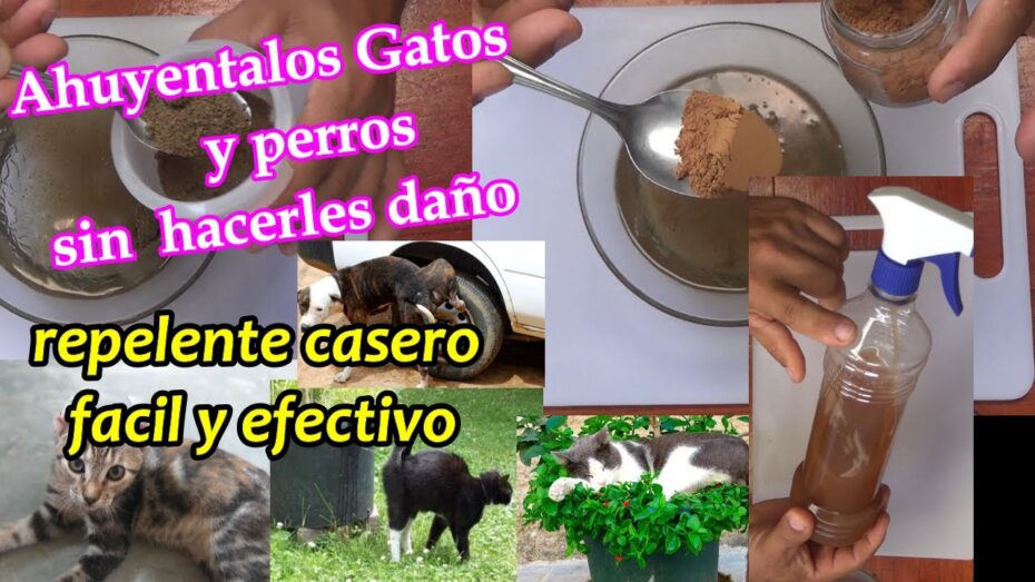 Cómo saber qué animales son buenos para el jardín - Guía completa ...
